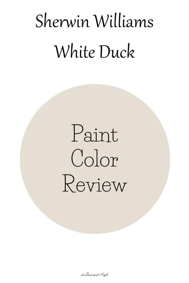 Sherwin Williams White Duck Paint Color Review