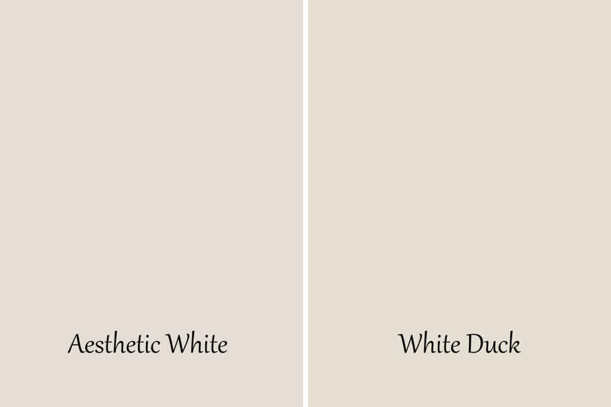 Aesthetic White by Sherwin Williams - At Lane and High