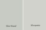 Sherwin Williams Silver Strand
