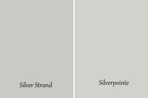 Sherwin Williams Silver Strand
