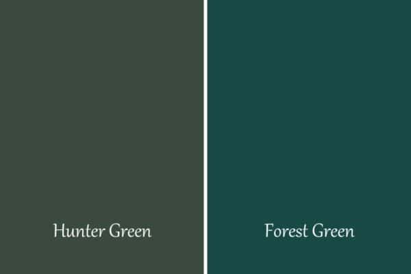 The Difference Between Hunter Green vs. Forest Green