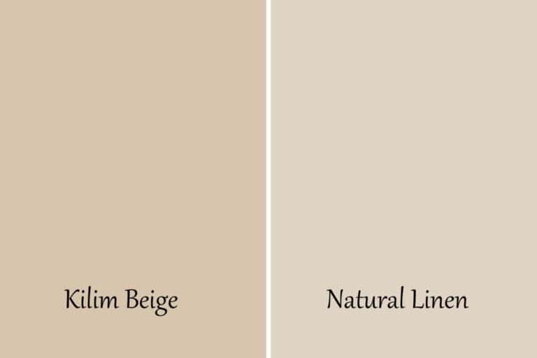 Sherwin Williams Kilim Beige