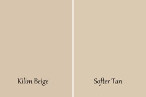 Sherwin Williams Kilim Beige