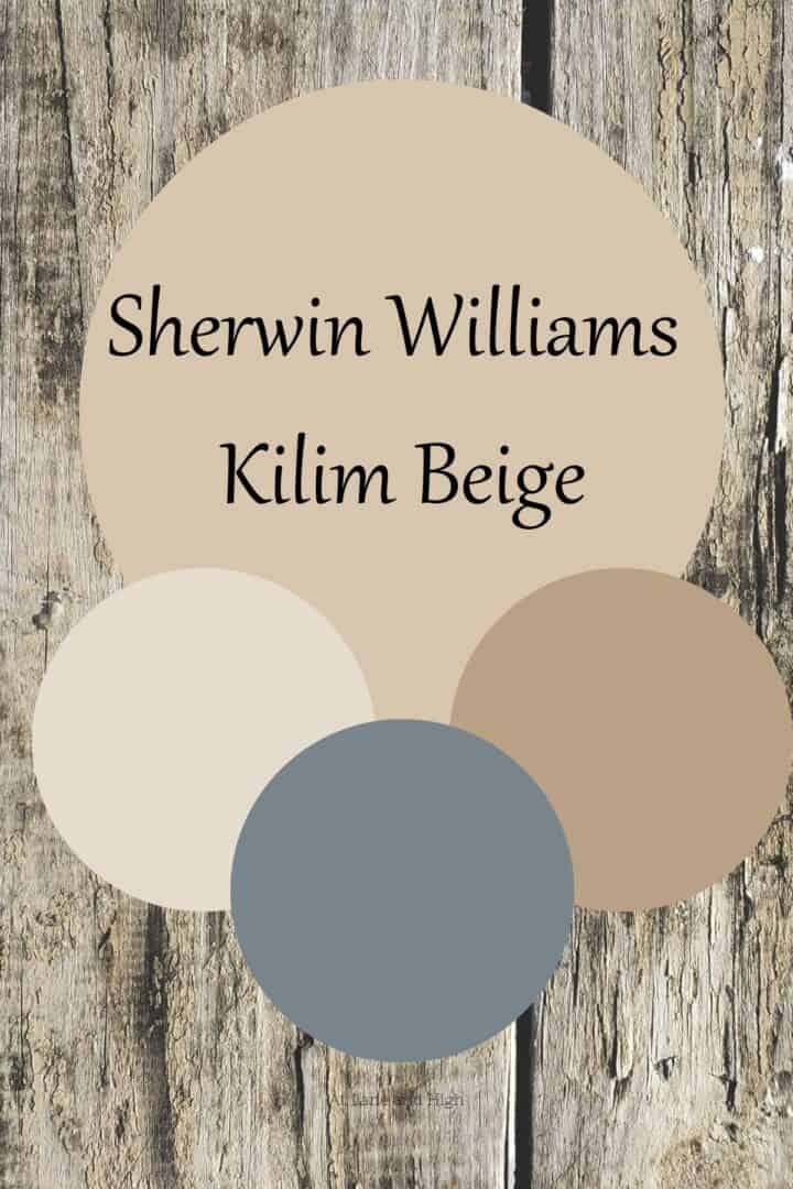 Sherwin Williams Kilim Beige