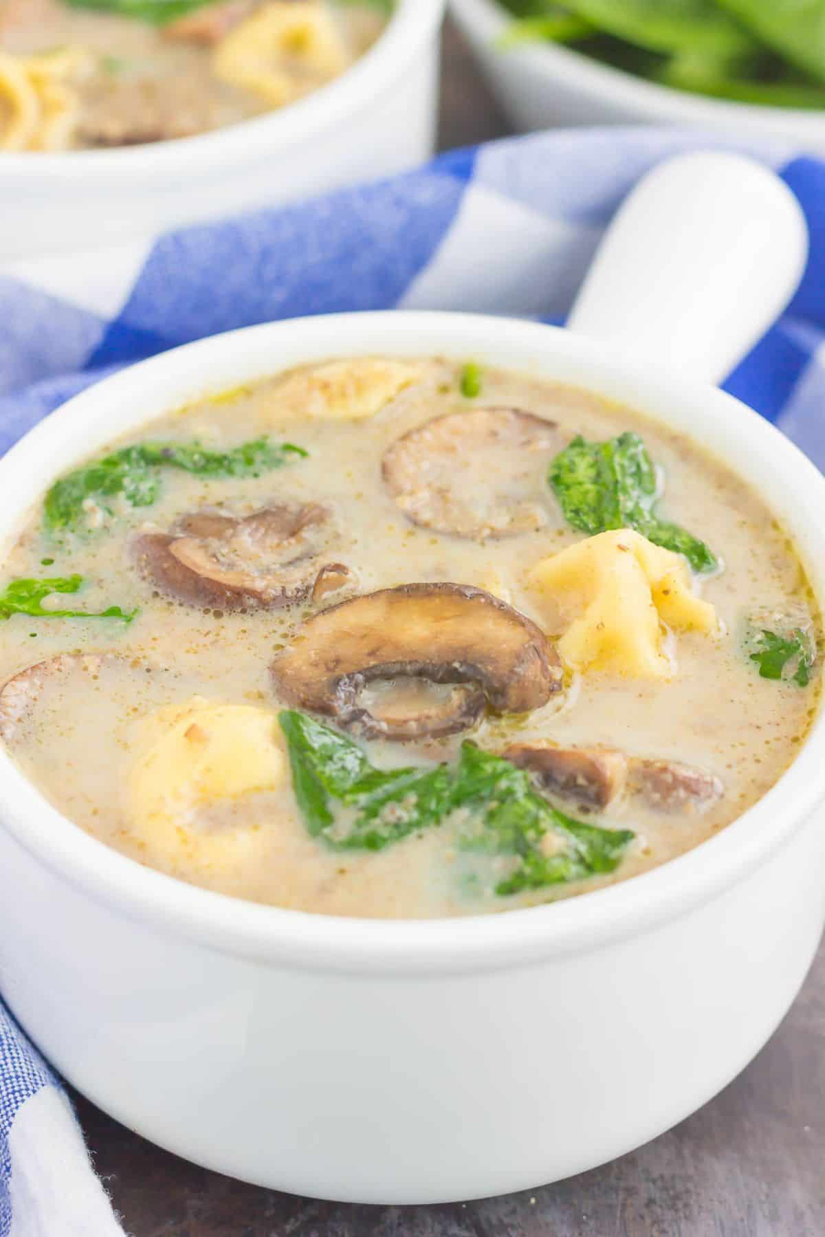 40 Cozy Fall Soup Recipes to Warm You Up This Season